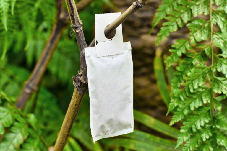 Raubmilben - gegen welche Schädlinge helfen sie?